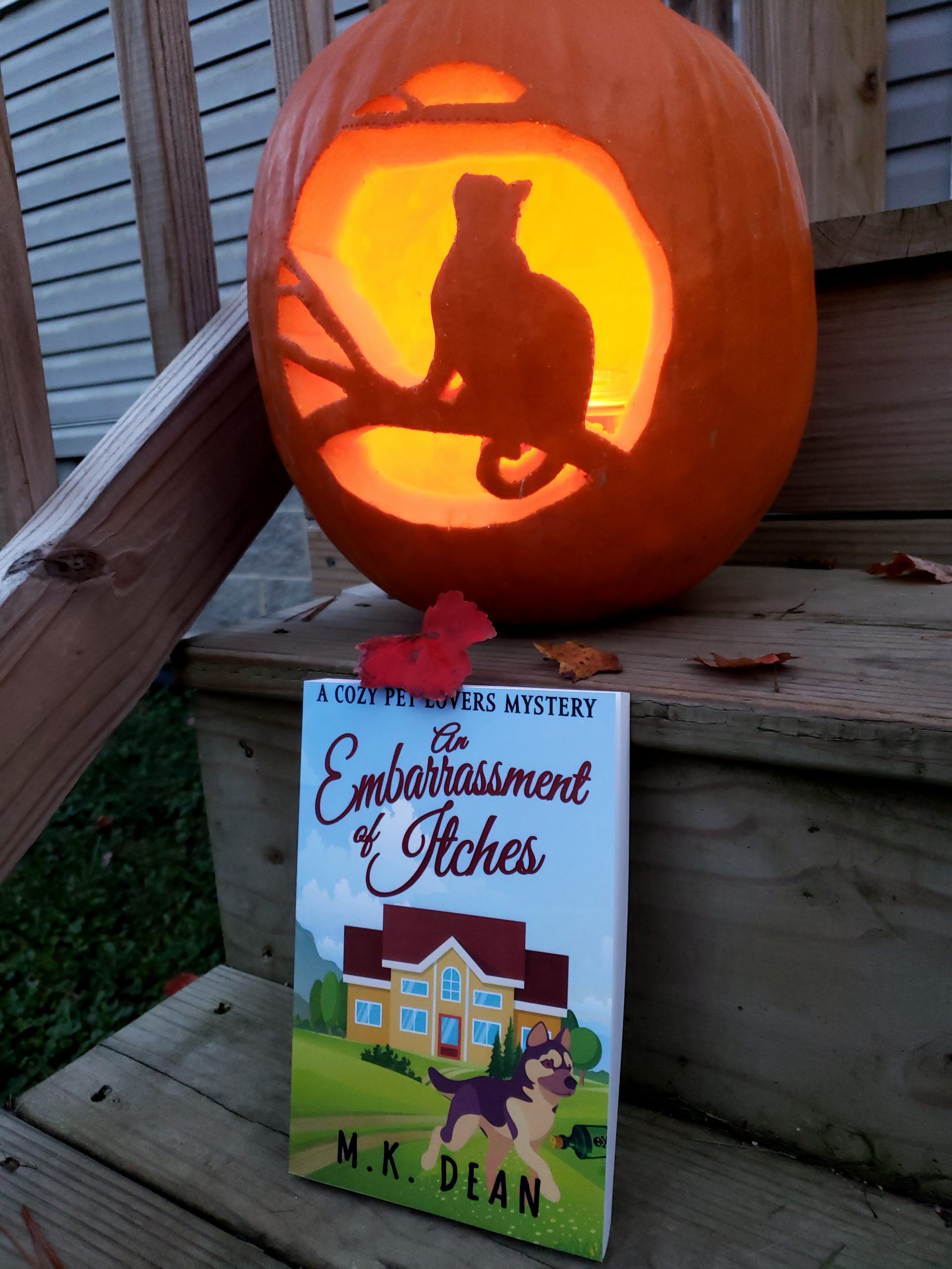 Bookmarks, Bouchercon, and the Next Ginny Reese Mystery | McKenna Dean ...